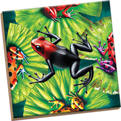 Magic Square Puzzles: Frogs (25pc) – Cheatwell Games